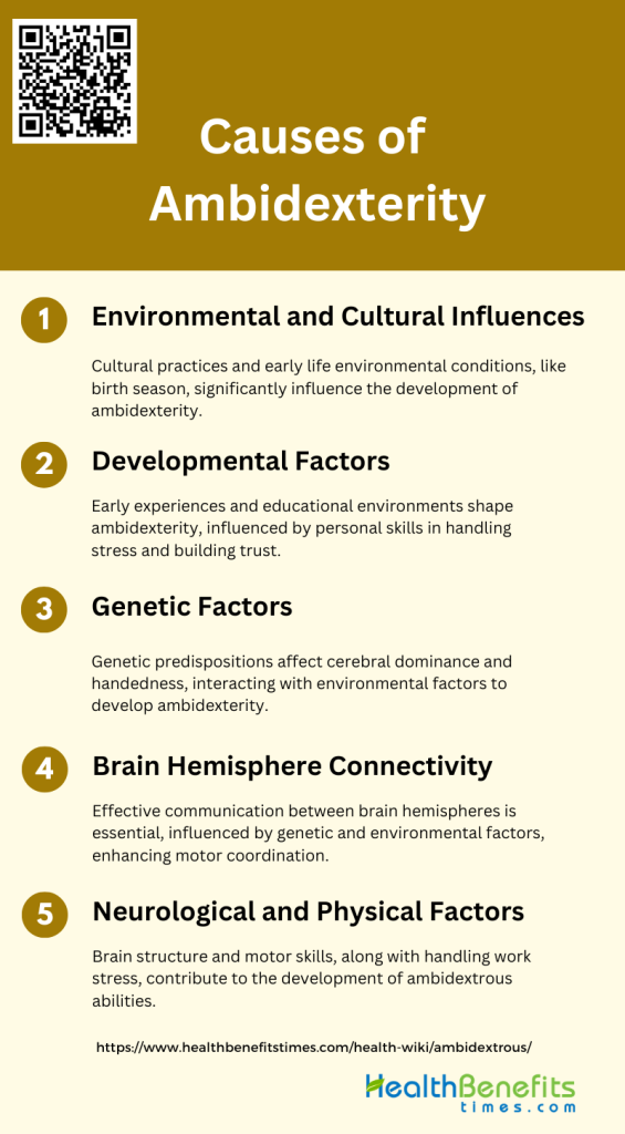Medical Definition of Ambidextrous - Health Benefits