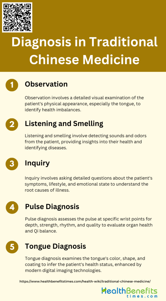 Understanding the Fundamentals of Traditional Chinese Medicine - Health ...