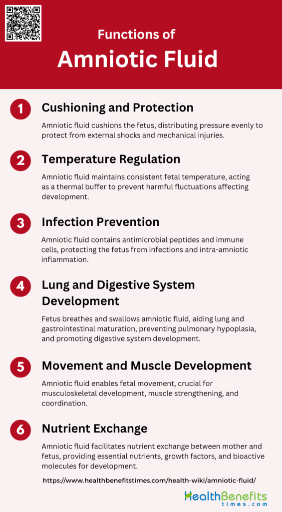 What is Amniotic fluid? - Health Benefits