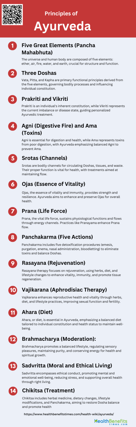 Principles of Ayurveda | Health Benefits