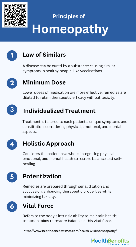 What is the Science behind Homeopathy? How It Works and What to Expect ...