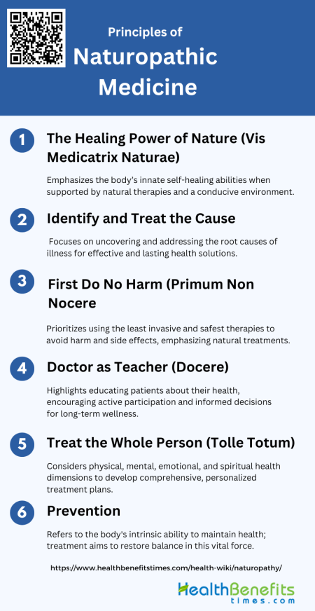 Principles of Naturopathic Medicine | Health Benefits