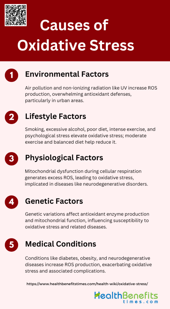 What is Oxidative stress? - Health Benefits