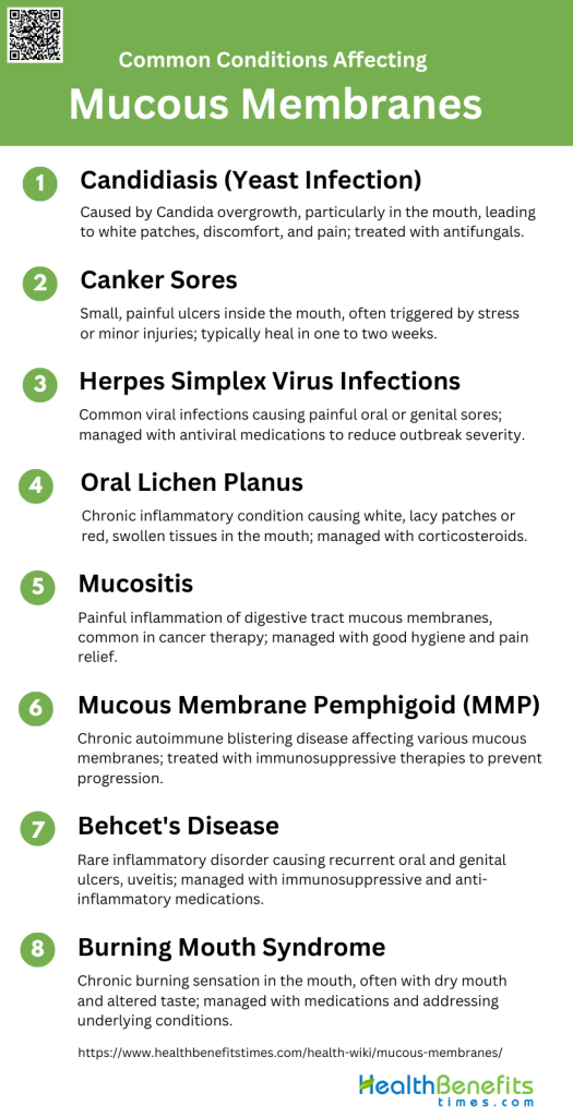 What are Mucous membranes? - Health Benefits