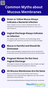 What are Mucous membranes? - Health Benefits
