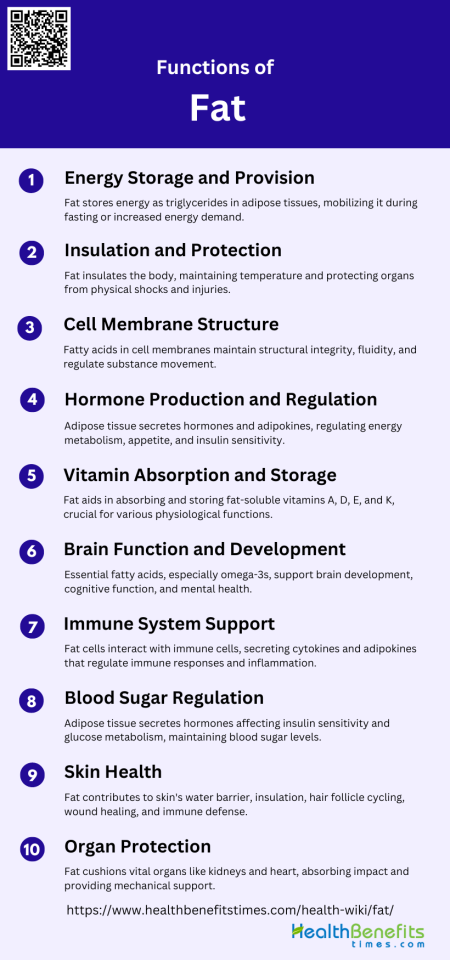 What is fat? - Health Benefits