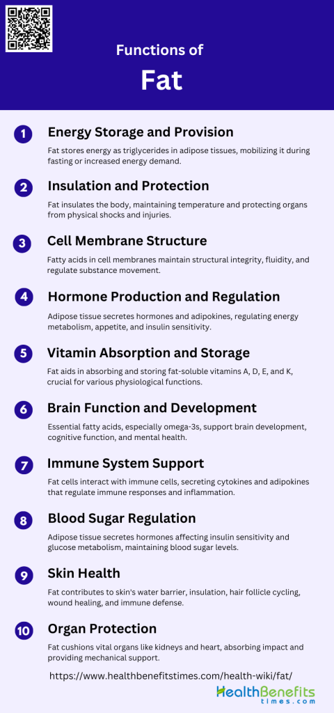 What is fat? - Health Benefits