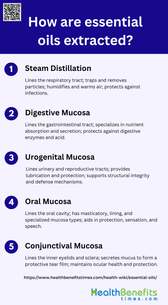 What are Essential Oils? - Health Benefits