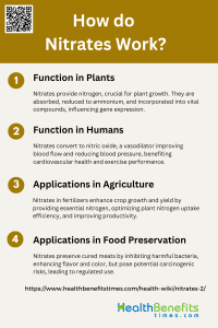 How do Nitrates Work | Health Benefits