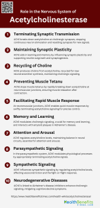 What is Acetylcholinesterase? - Health Benefits