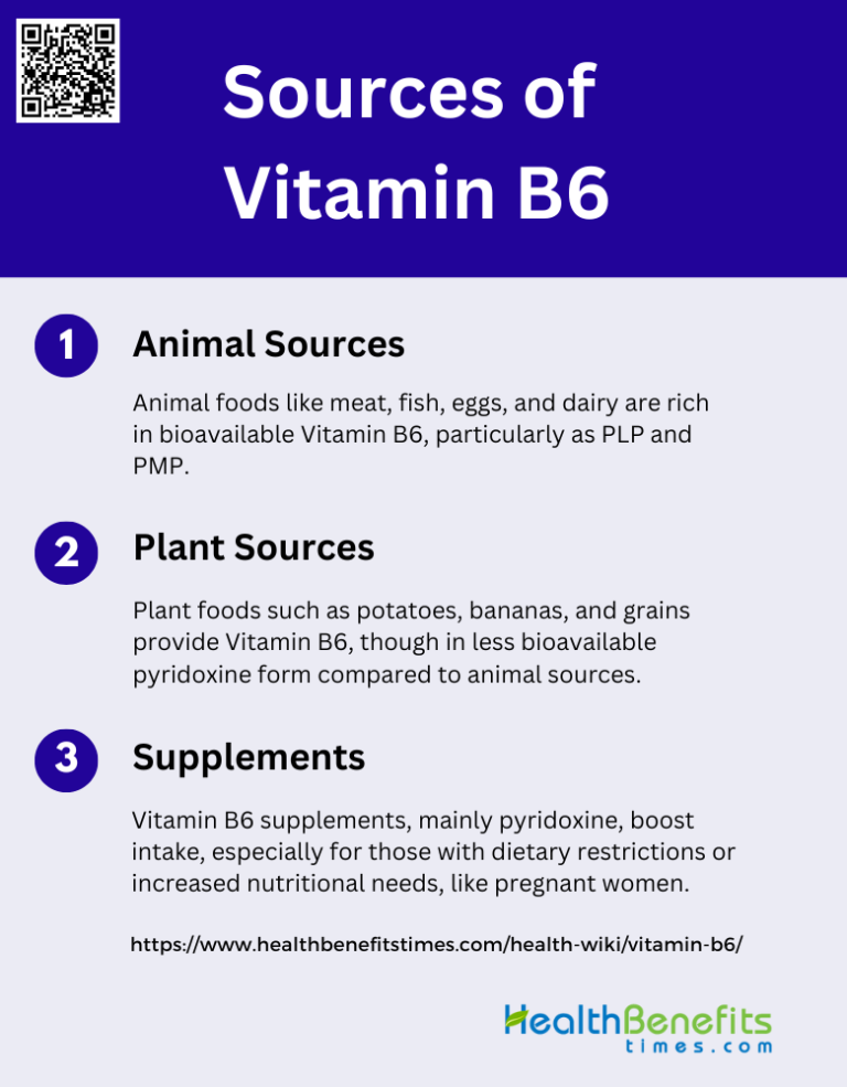 Sources of Vitamin B6 | Health Benefits