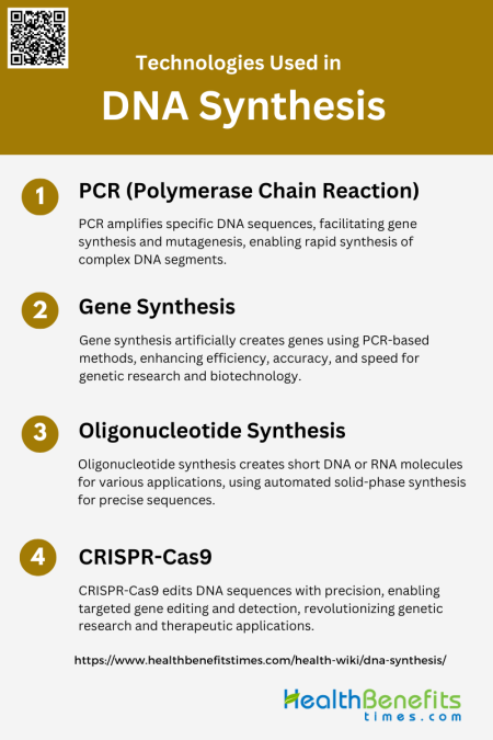 What is DNA synthesis? - Health Benefits
