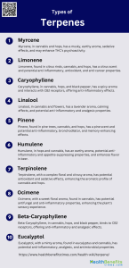 What is Terpene? - Health Benefits
