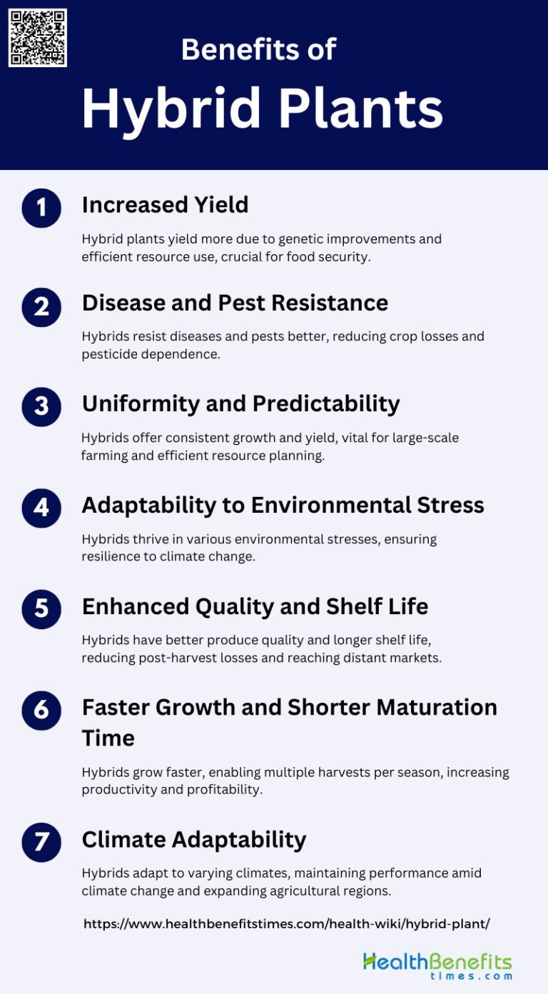 What is Hybrid plant? - Health Benefits
