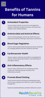 What is Tannins in plant? - Health Benefits