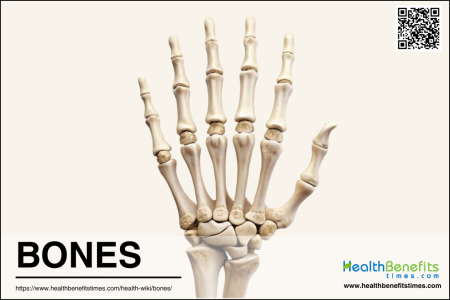 What is Bones - Health Benefits