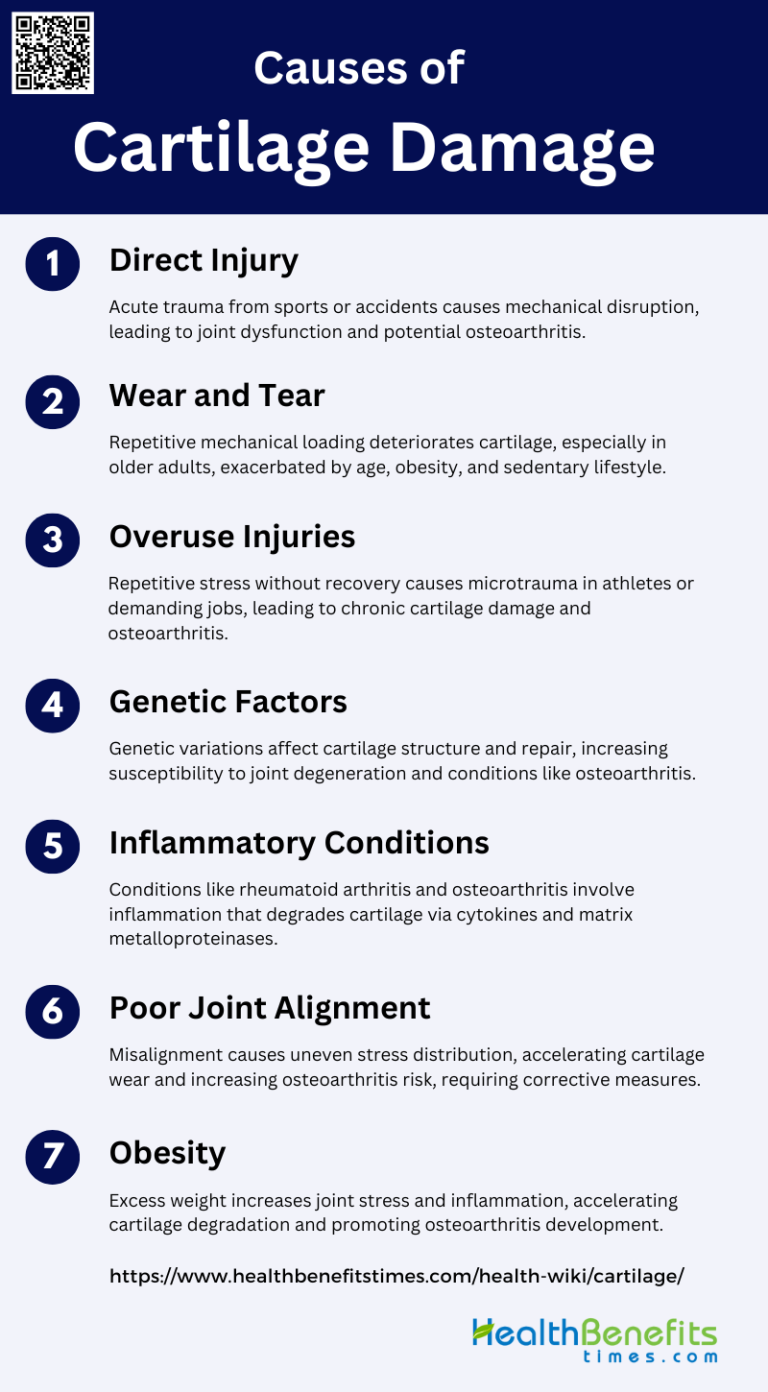 What is Cartilage - Health Benefits