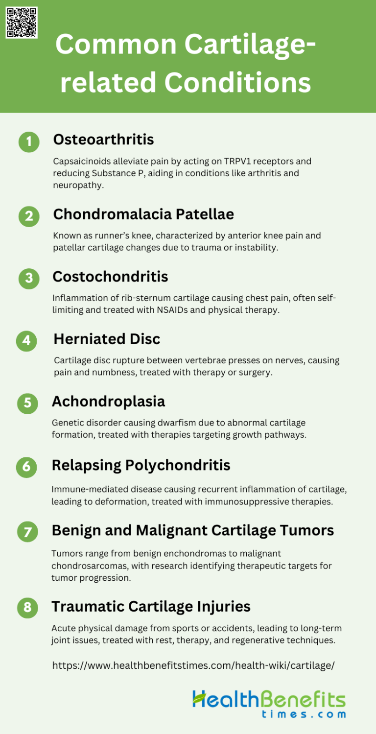 What is Cartilage - Health Benefits