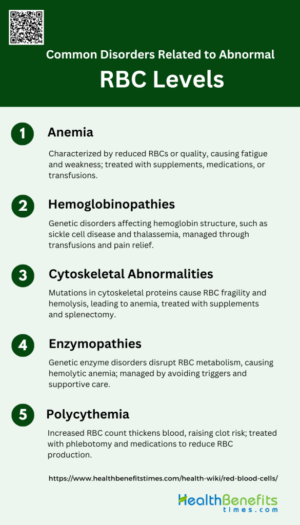 What is Red Blood Cells (RBC): Their Structure and Function and normal ...