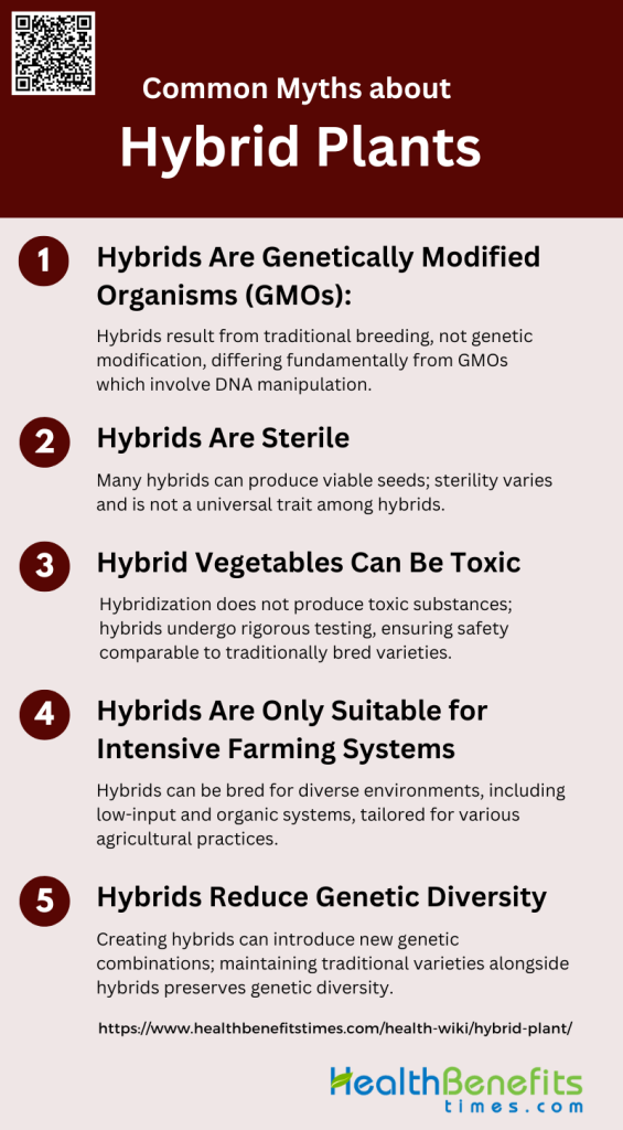Common Myths about Hybrid Plants | Health Benefits