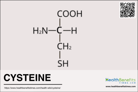 What is Cysteine – uses and side effects - Health Benefits