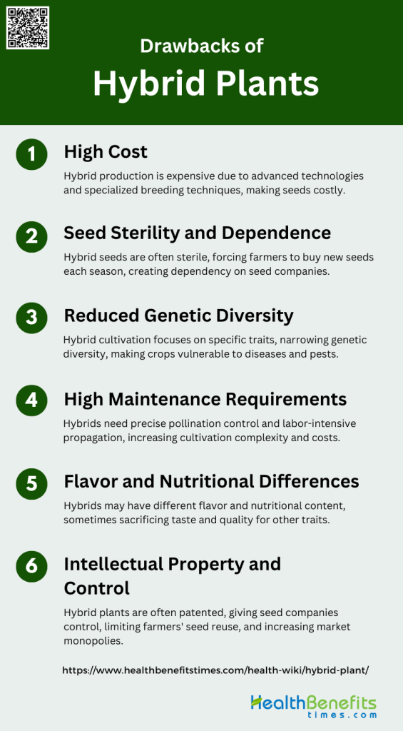 Drawbacks of Hybrid Plants | Health Benefits