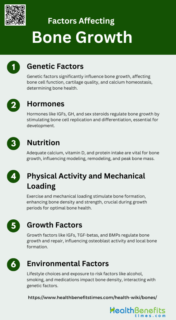 What is Bones - Health Benefits