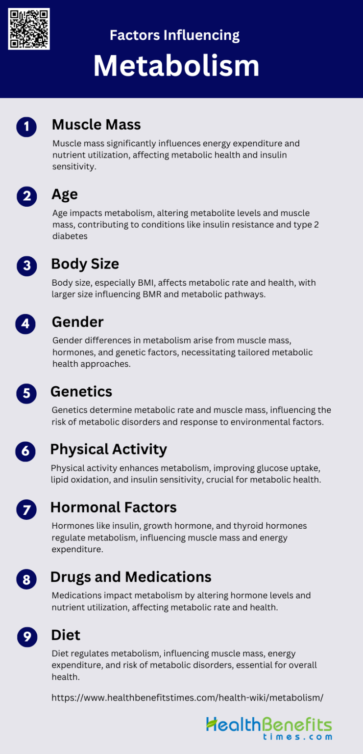 Metabolism - Health Benefits