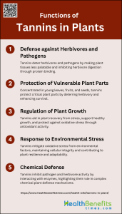 What is Tannins in plant? - Health Benefits