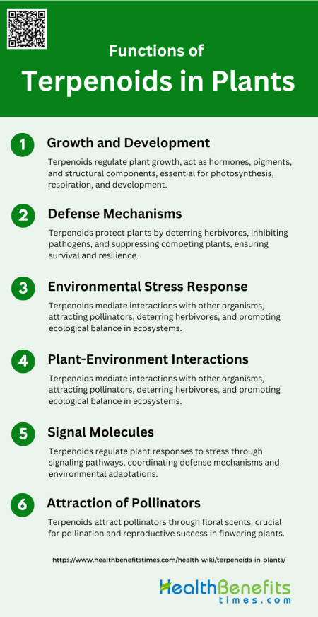 What is Terpenoids in plants? - Health Benefits