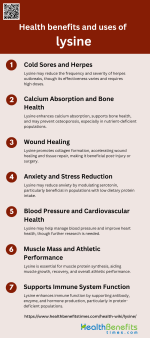 Lysine - Uses and Side Effects - Health Benefits