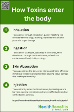 What is Toxin- Types and Sources - Health Benefits