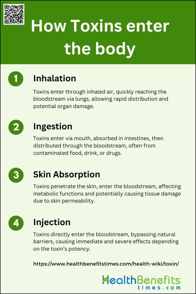 What is Toxin- Types and Sources - Health Benefits