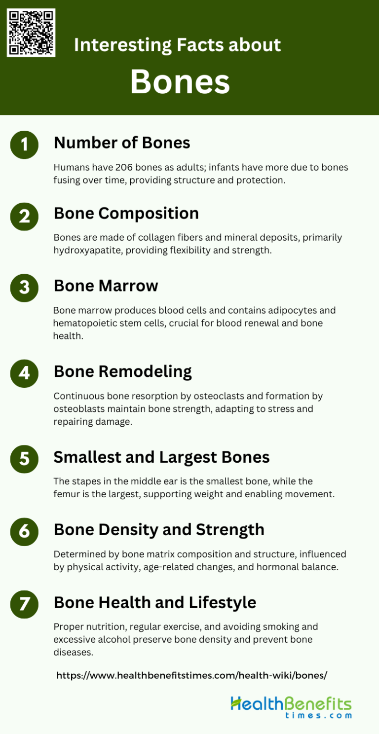 Interesting Facts about Bones | Health Benefits