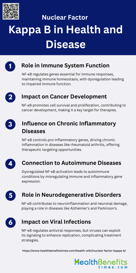 What Is Nuclear Factor Kappa B (NF-κB) - Health Benefits