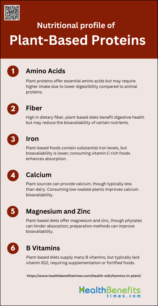 What is Plant-Based Protein? Uses and Sources? - Health Benefits