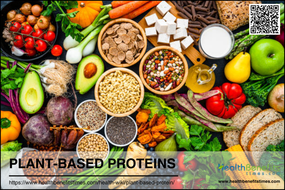 What is Plant-Based Protein? Uses and Sources? - Health Benefits