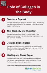 What is Collagen: Types, Function and Benefits - Health Benefits