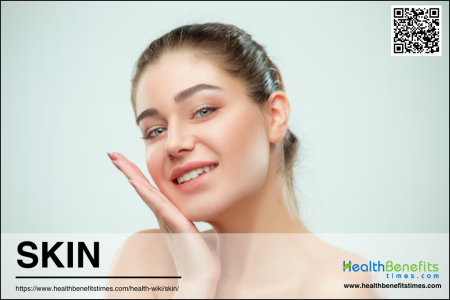What is Skin: Layers and Function - Health Benefits