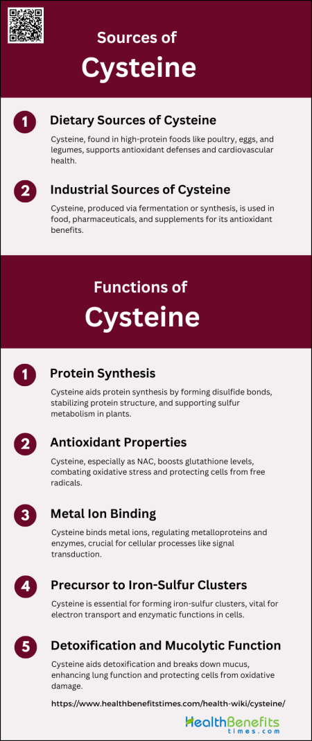 What is Cysteine – uses and side effects - Health Benefits