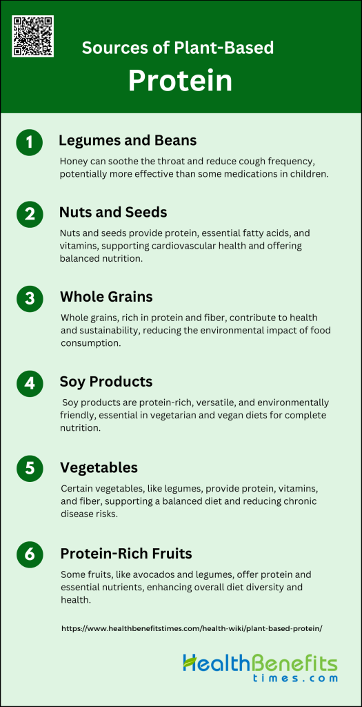 What is Plant-Based Protein? Uses and Sources? - Health Benefits