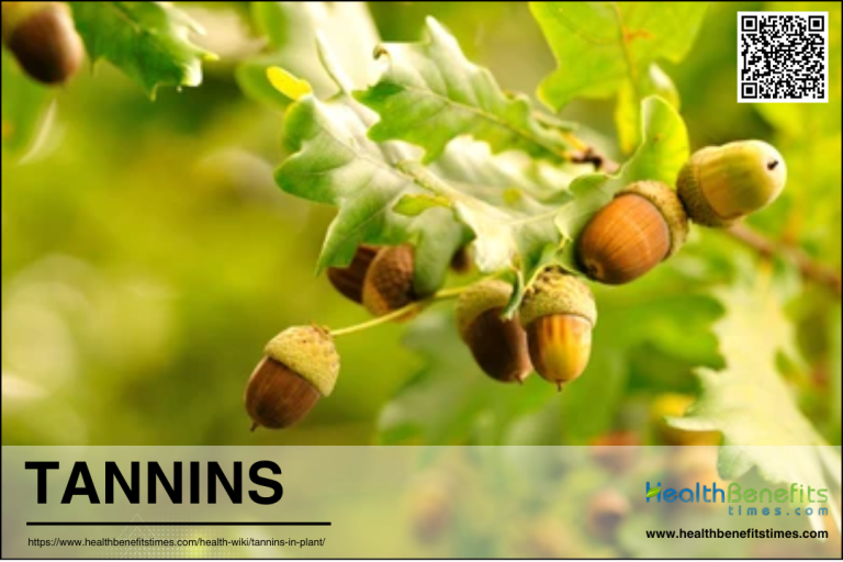 What is Tannins in plant? - Health Benefits
