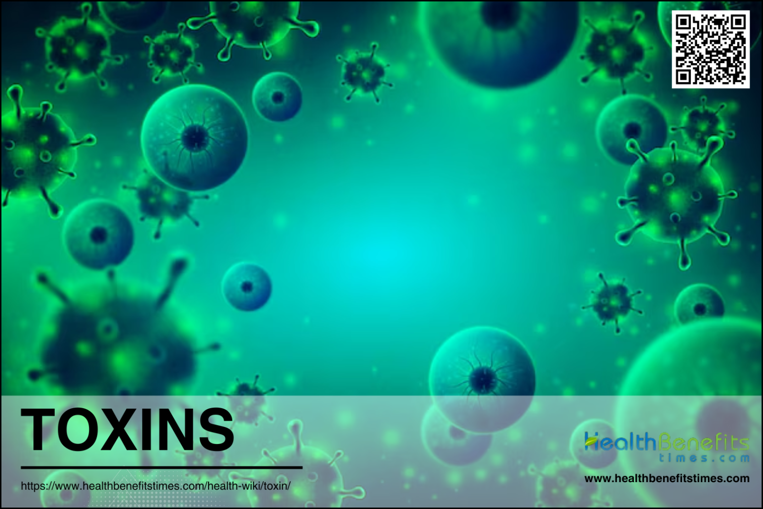 What is Toxin- Types and Sources - Health Benefits