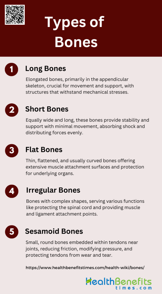 What is Bones - Health Benefits