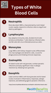 What is White Blood Cells (WBC): Types, Function and Normal Ranges - Health Benefits