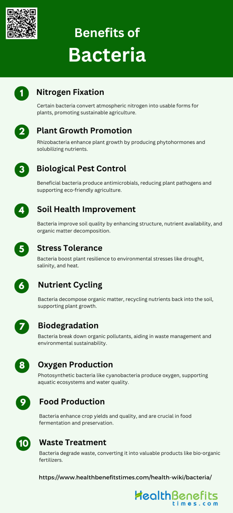 What are Bacteria: Types, Benefits, Risks - Health Benefits