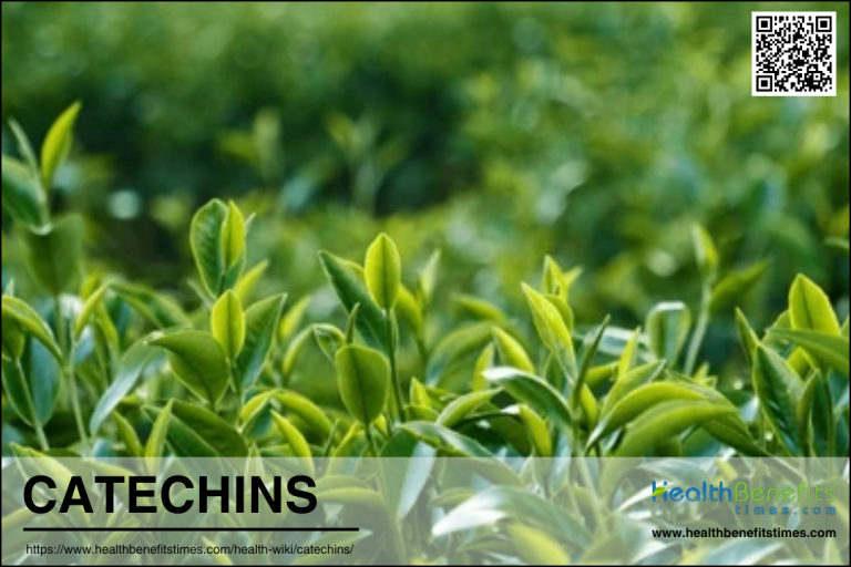 What is Catechins? - Health Benefits