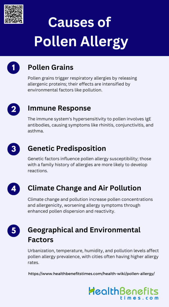 What is Pollen Allergy? Causes, Symptoms & Treatment - Health Benefits