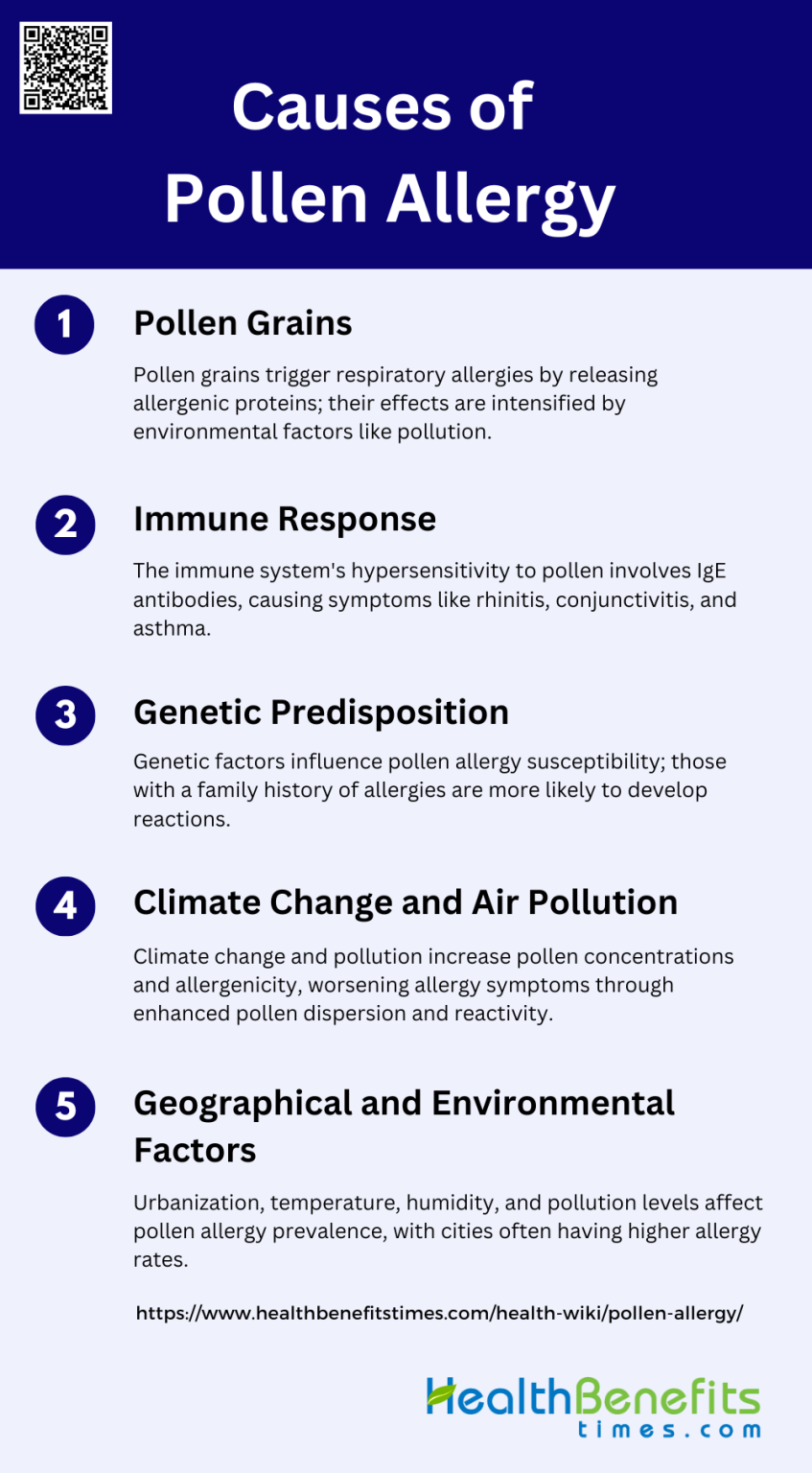 What is Pollen Allergy? Causes, Symptoms & Treatment - Health Benefits