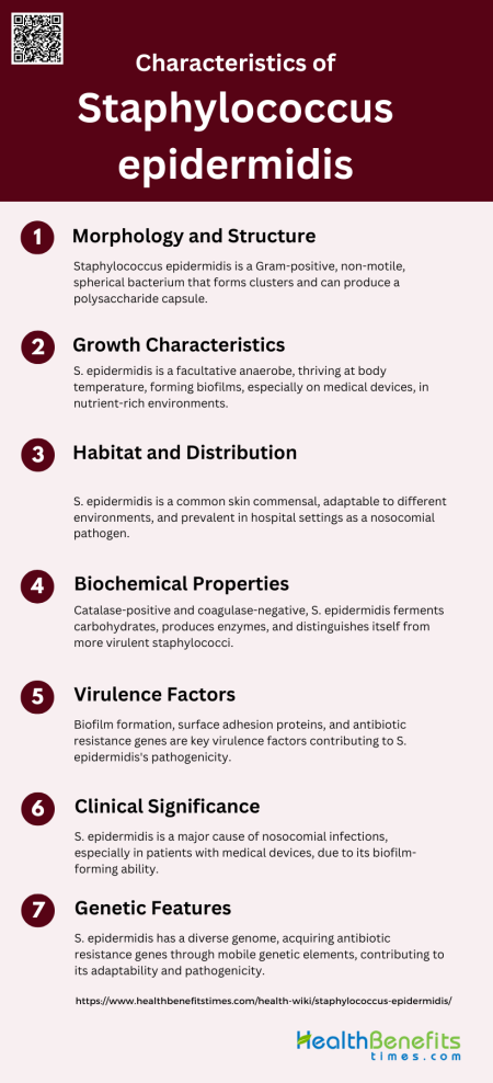 What is Staphylococcus Epidermidis and Its role in skin health - Health Benefits
